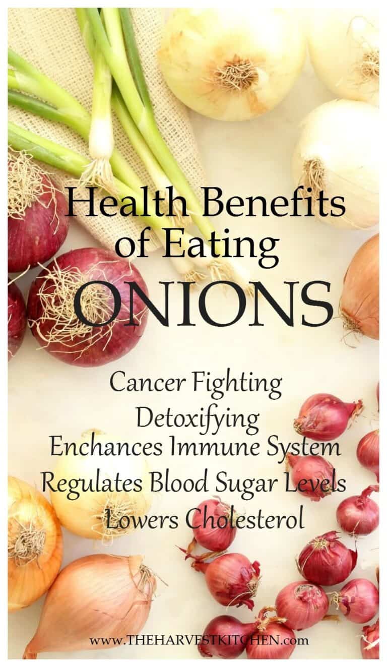 Beneficios para la salud de comer cebollas | Market tay