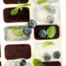 Antioxidant Rich Blueberry Ice Cubes - The Harvest Kitchen