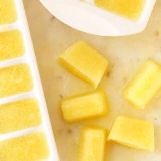 Immune Boosting Whole Lemon Ice Cubes - The Harvest Kitchen