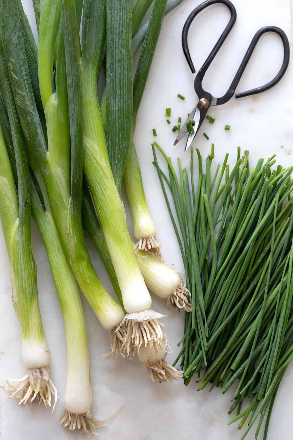 Chives vs Green Onions - The Harvest Kitchen