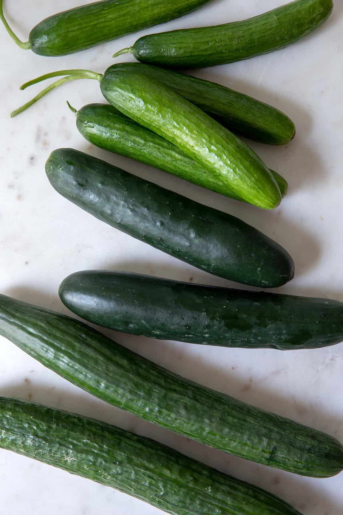 Is Cucumber a Fruit - The Harvest Kitchen