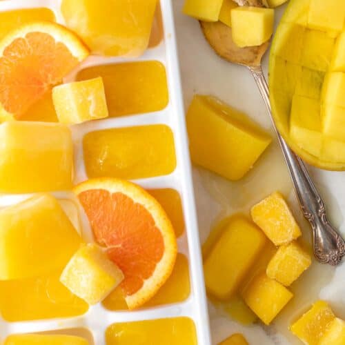 Mango Nectar Juice Cubes - The Harvest Kitchen