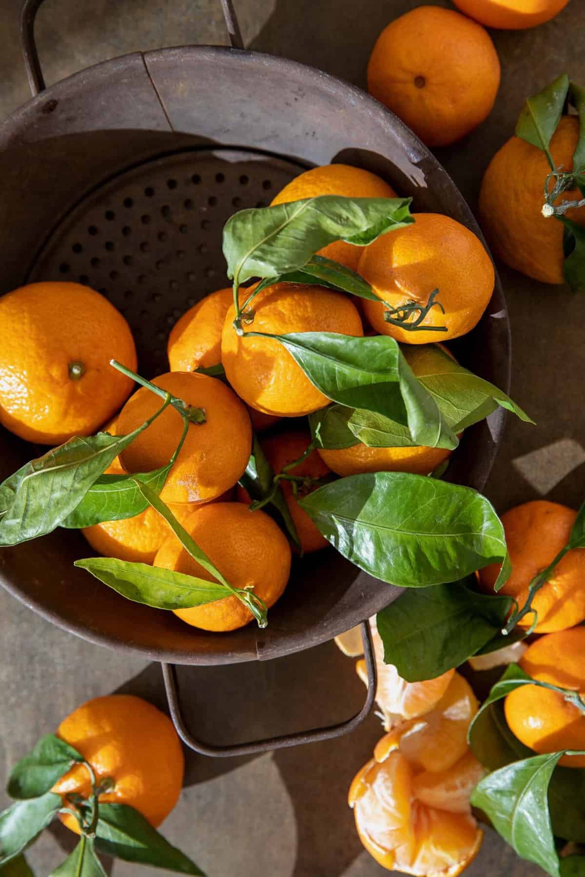 Mandarin Oranges - The Harvest Kitchen