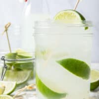 Easy Homemade Limeade - The Harvest Kitchen