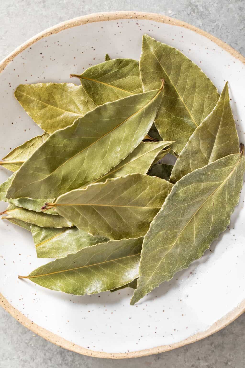 Bay Leaf Substitute - The Harvest Kitchen