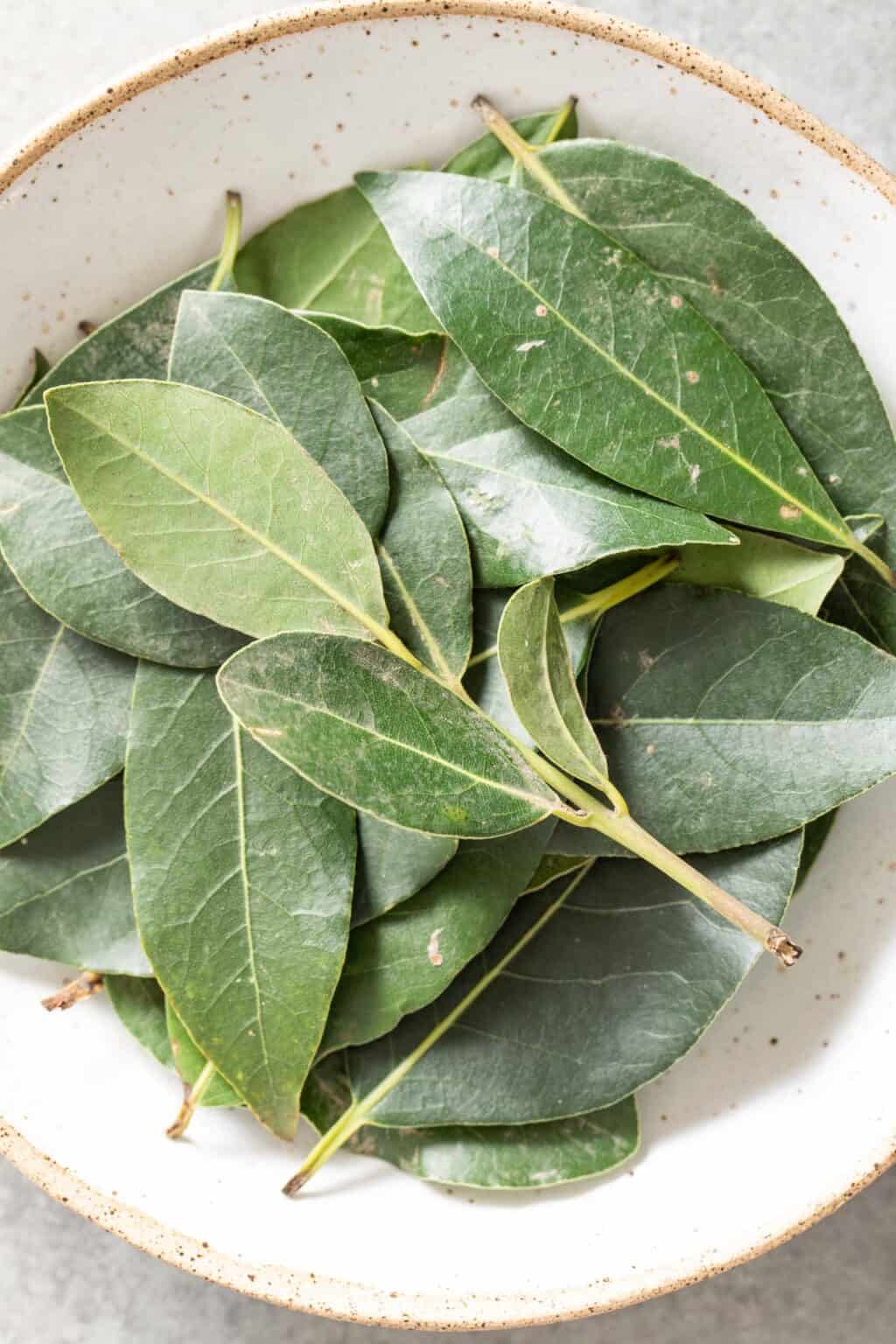 Bay Leaf Substitute - The Harvest Kitchen