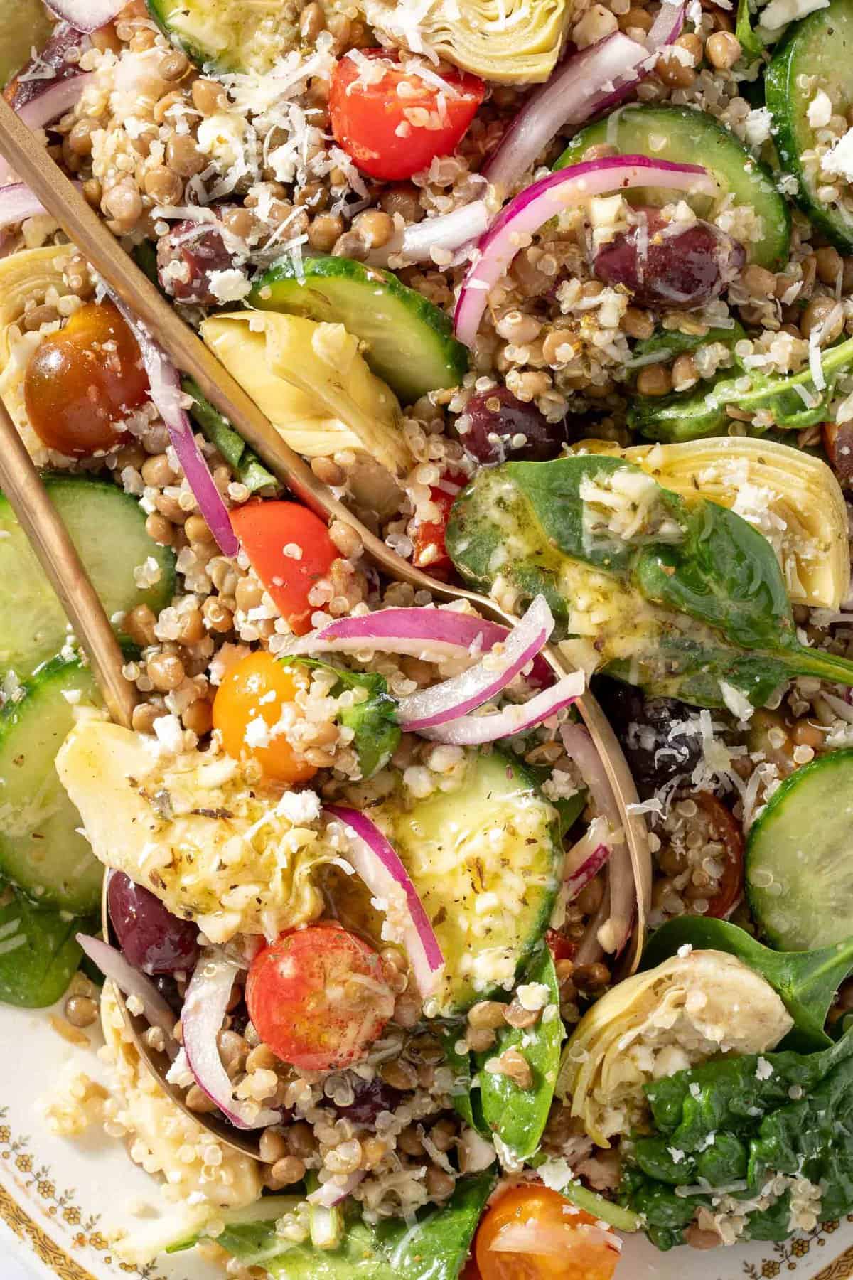 Lentil Quinoa Salad - The Harvest Kitchen