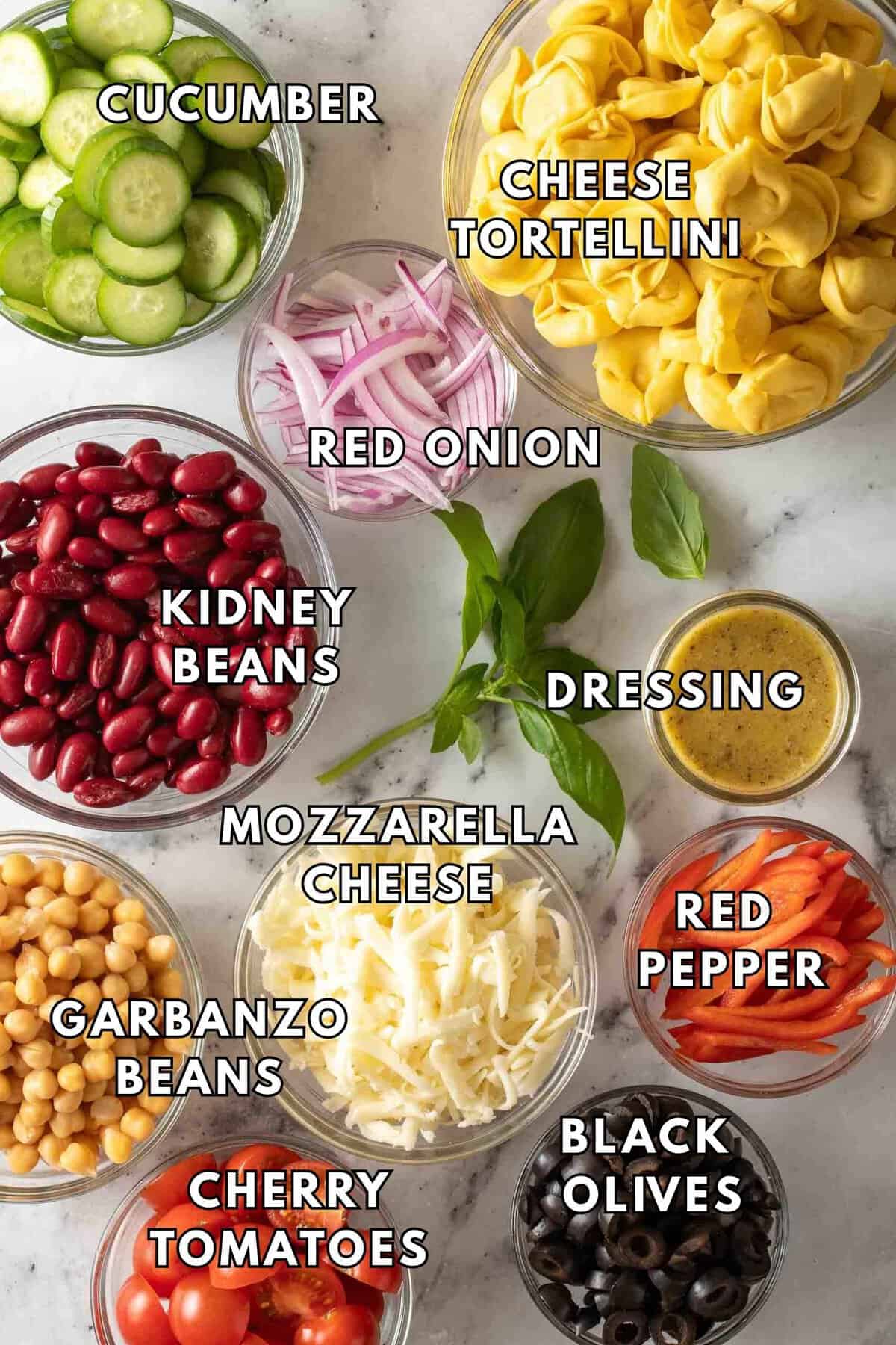 Tortellini Pasta Salad - The Harvest Kitchen