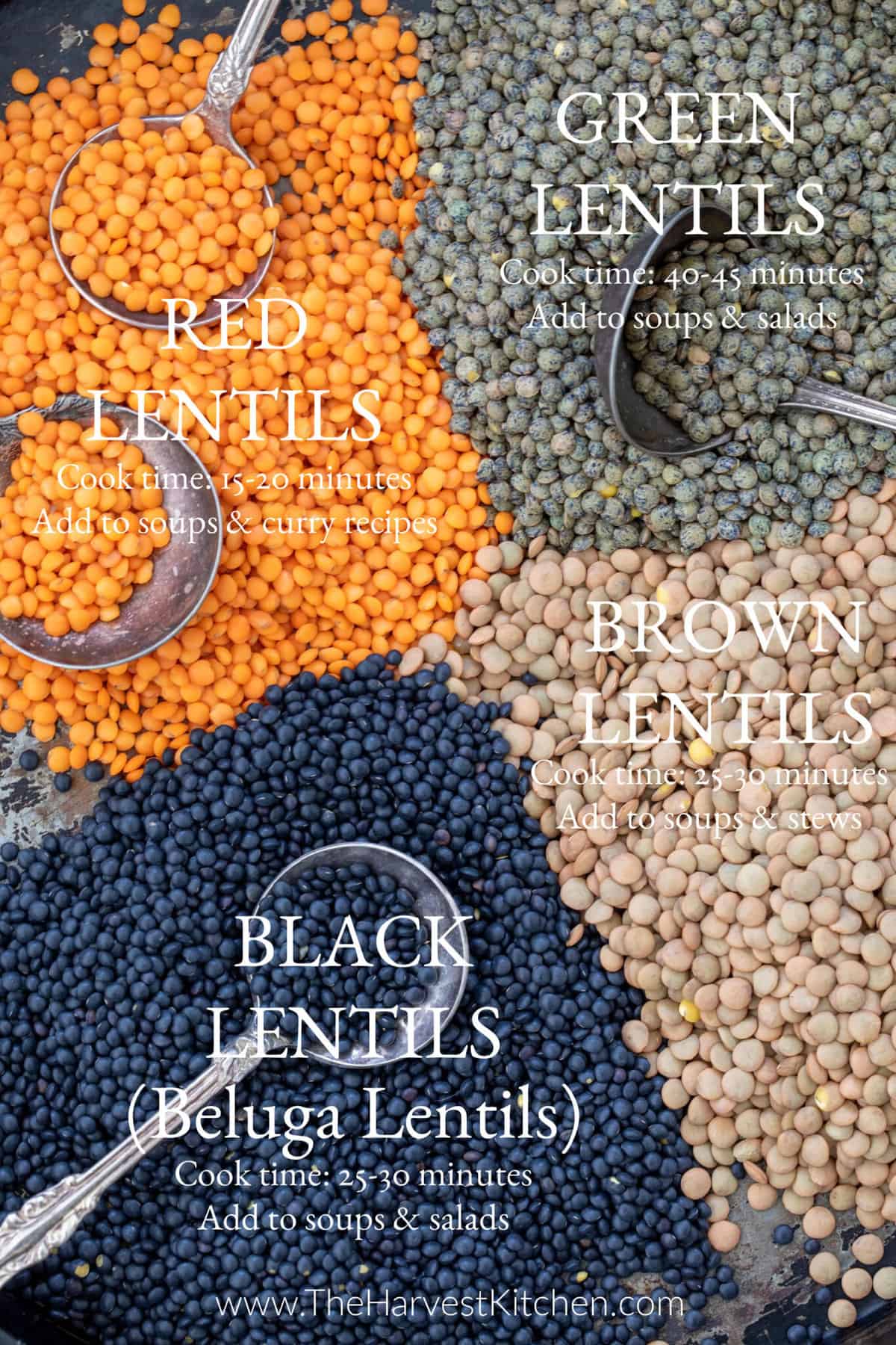 What are Lentils - The Harvest Kitchen